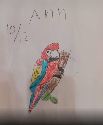 Summer Themed Creative Drawing Camp | Small Online Class for Ages 8-13 ...