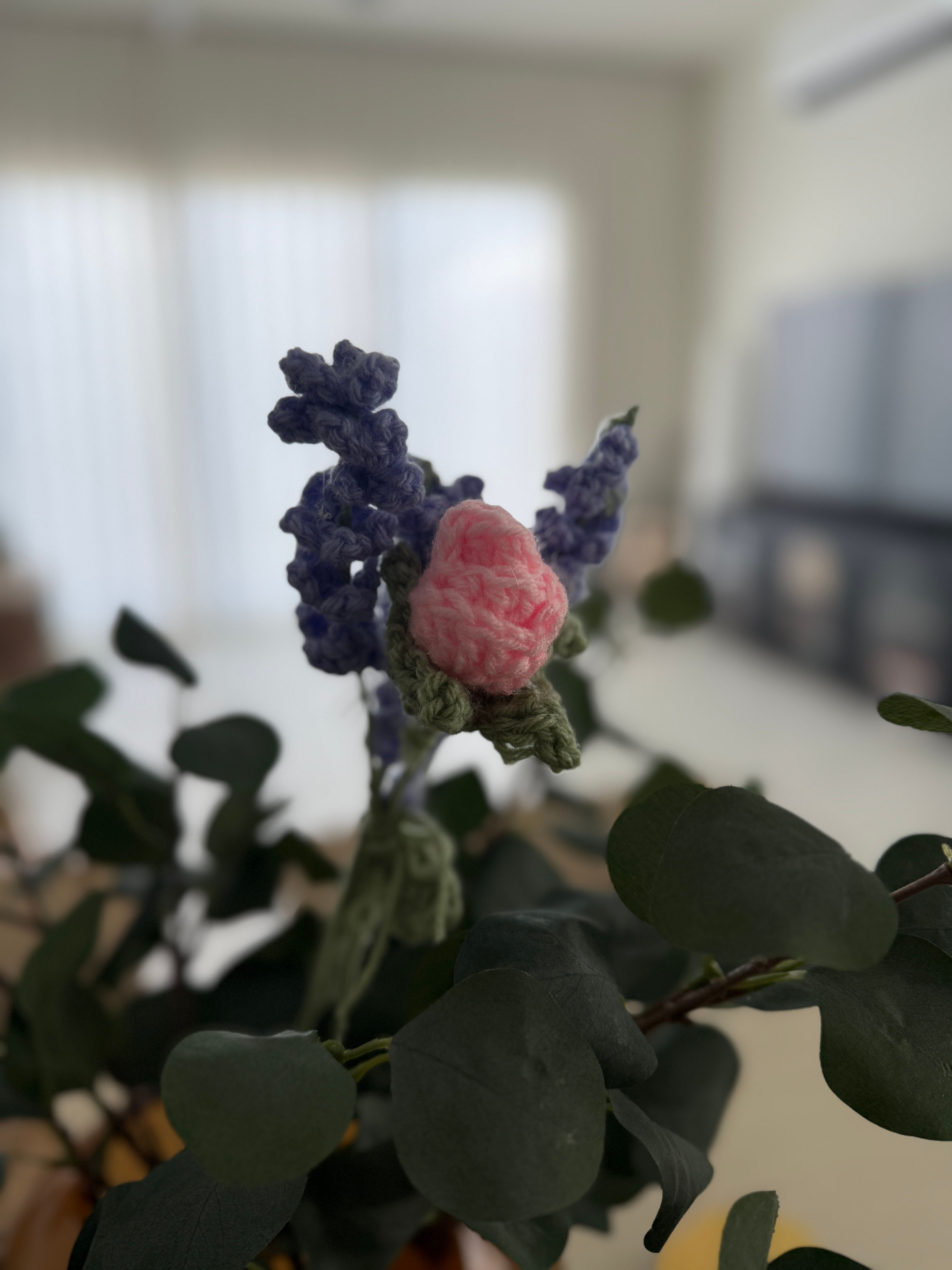 Procreate for Young Beginners | Coloring Book, Animal Series | Small ...