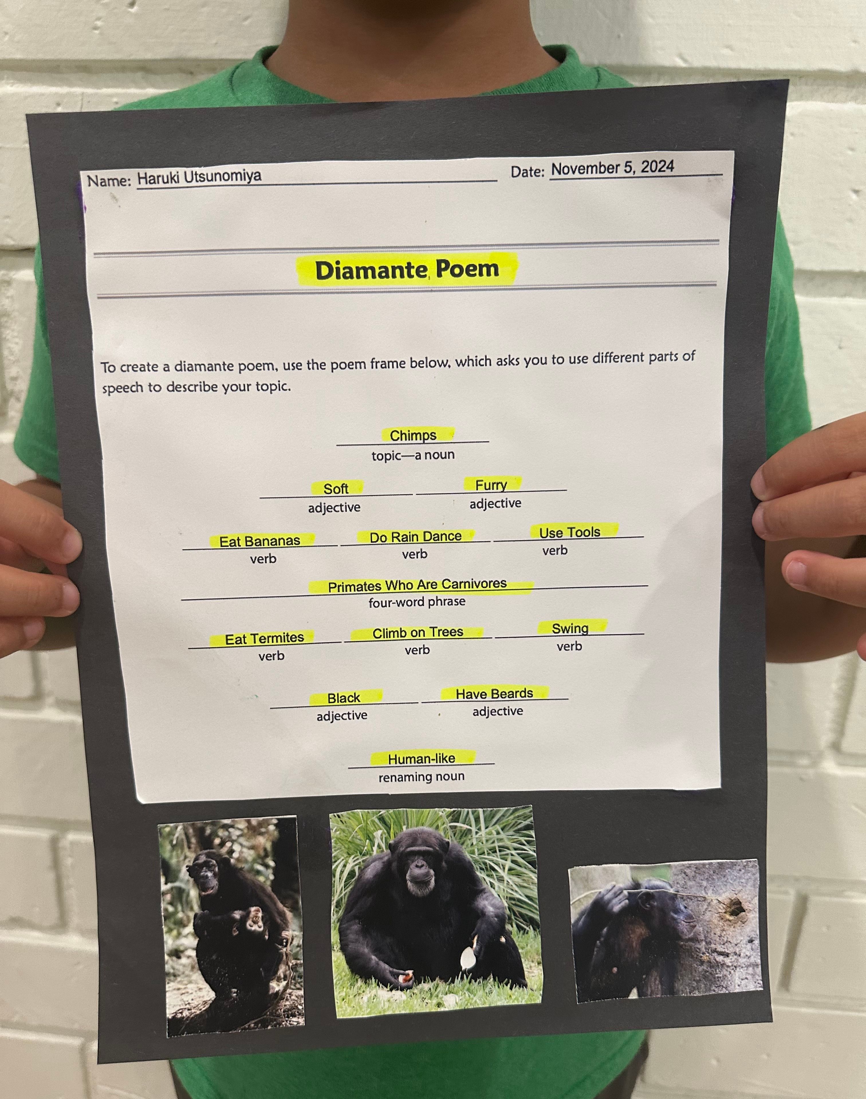 Beginning Creative Writing: Poems and Poetry | Small Online Class for ...