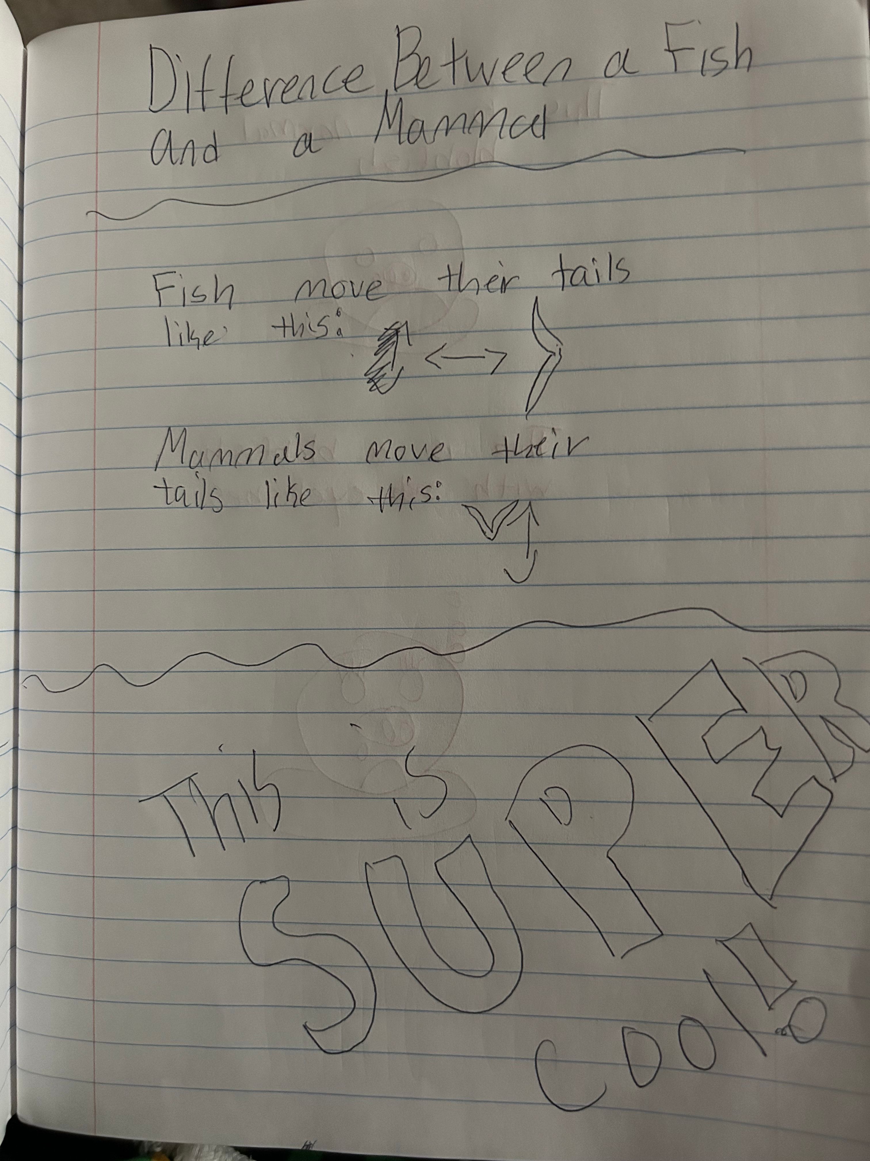 Clay Concepts 1 - Earth Science Geology: Play Dough Model Hands-On Self ...