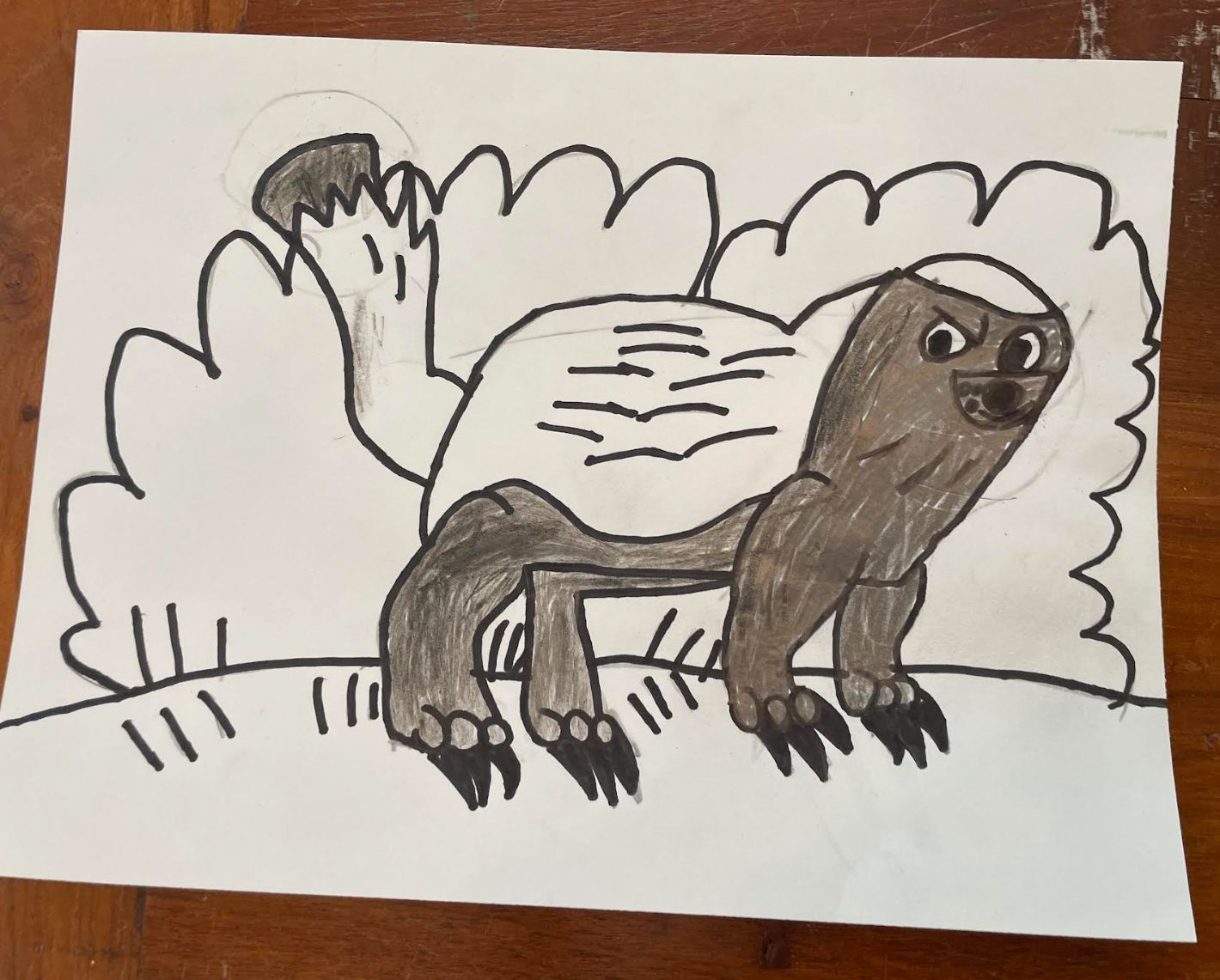 Drawing a Cartoon Cougar! Fun Step by Step Art Class for Beginners ...
