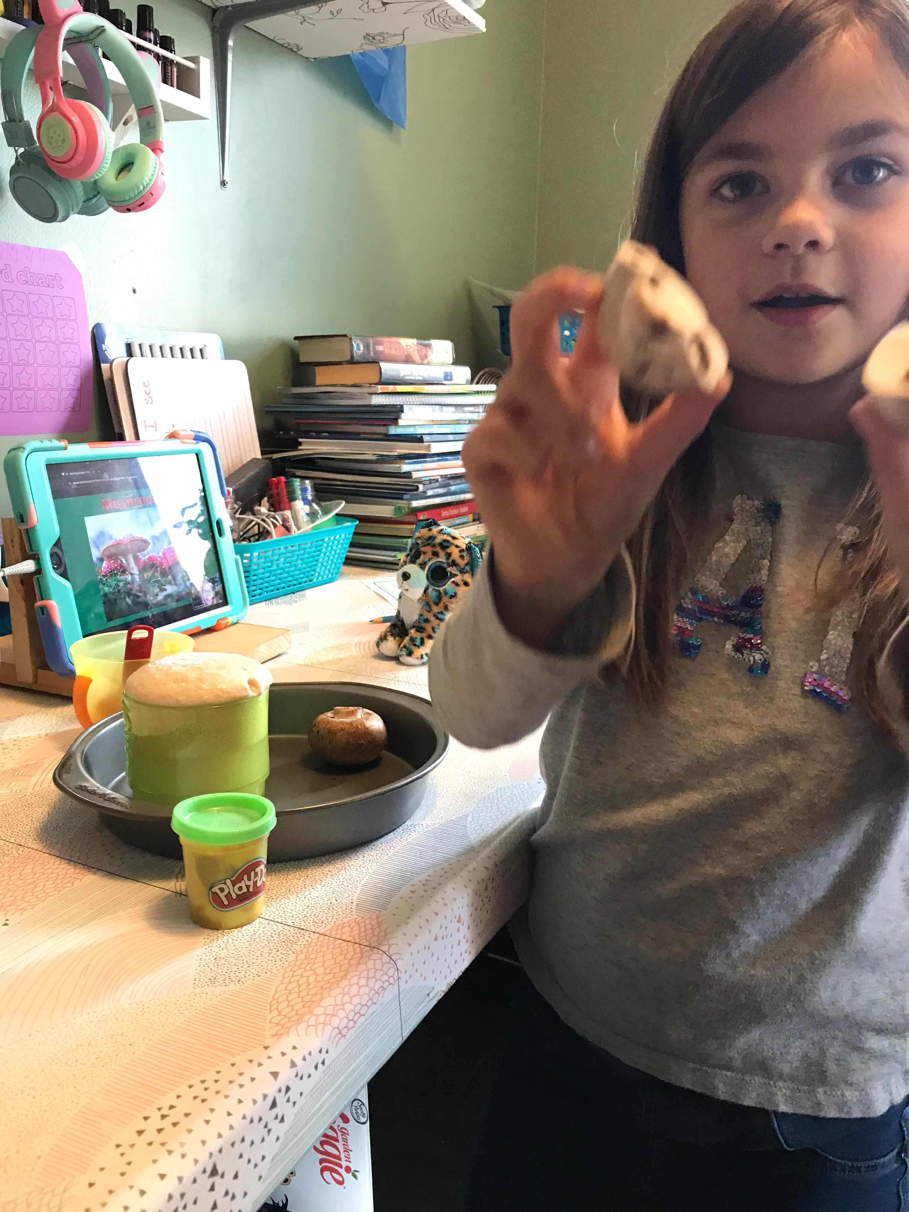 Weird Science: Smelly, Sticky, Silly Science Class! | Small Online ...