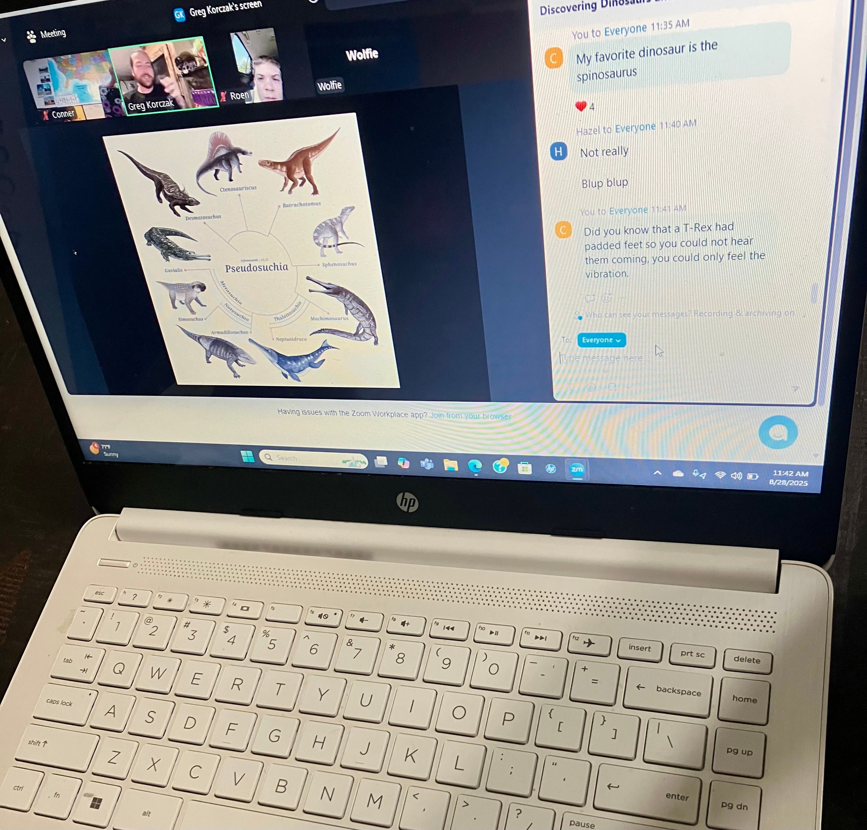 Discovering Dinosaurs and Other Prehistoric Life! (Paleontology/ Animal ...