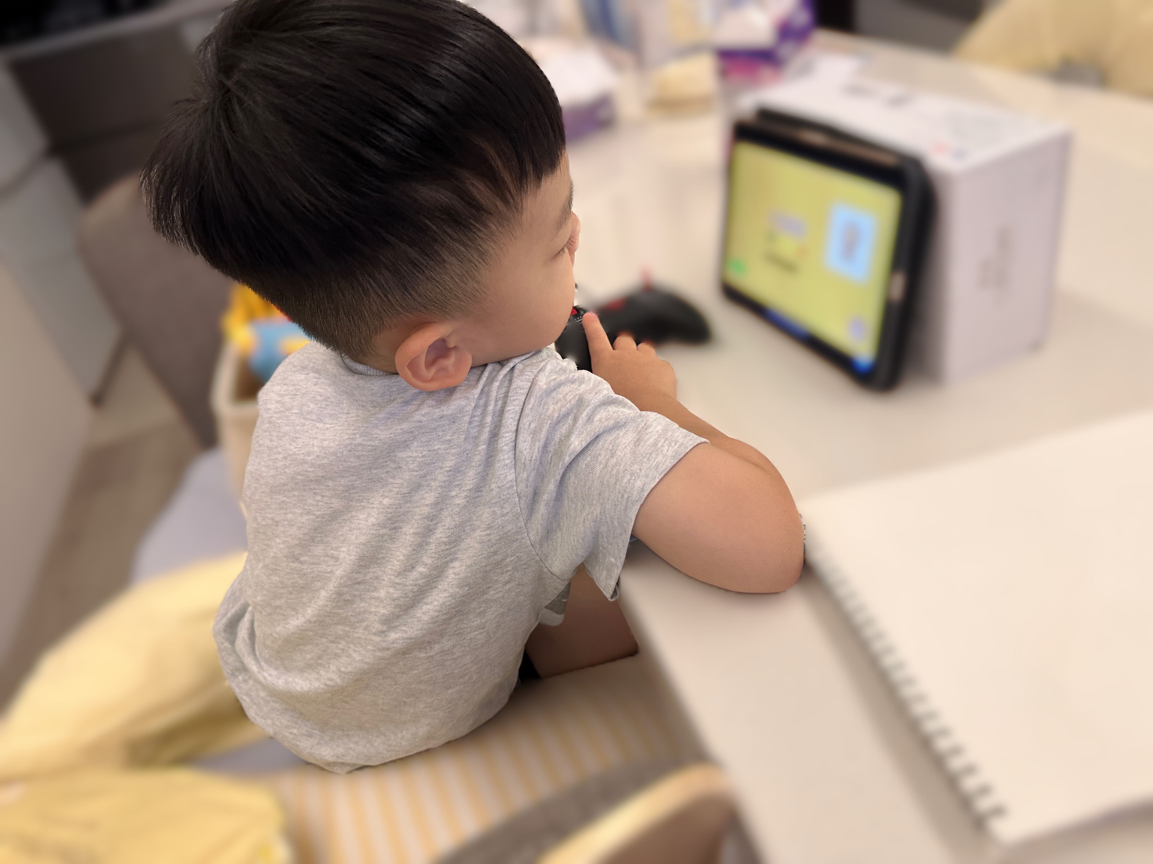Reading Lab: Sound Out Words to Learn to Read ~Level 1 (3x) | Small ...