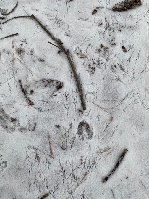 Tina Harris - Outschool Teacher | Outschool