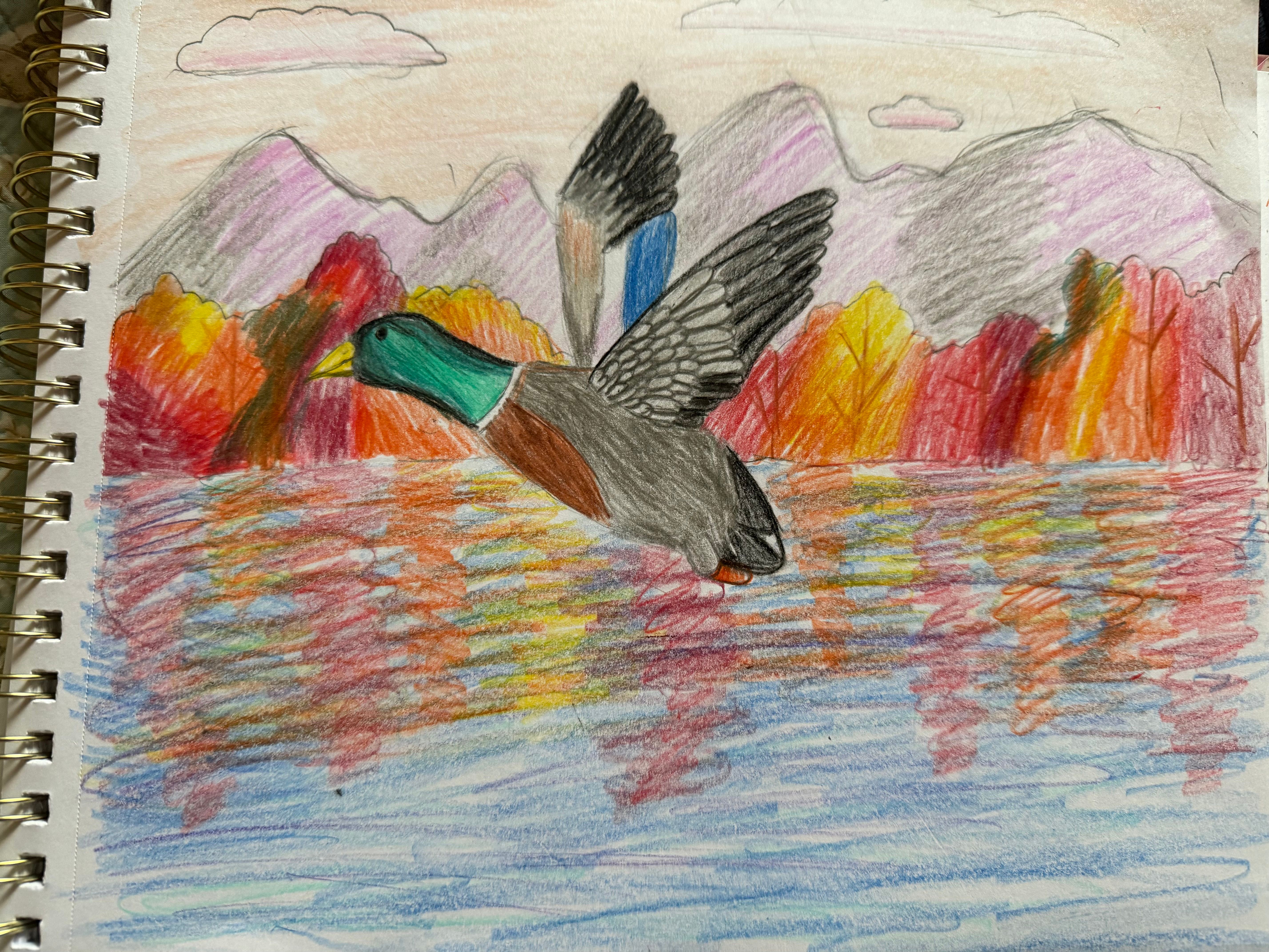Nature Inspired Creative Drawing for Young Artists. | Small Online ...