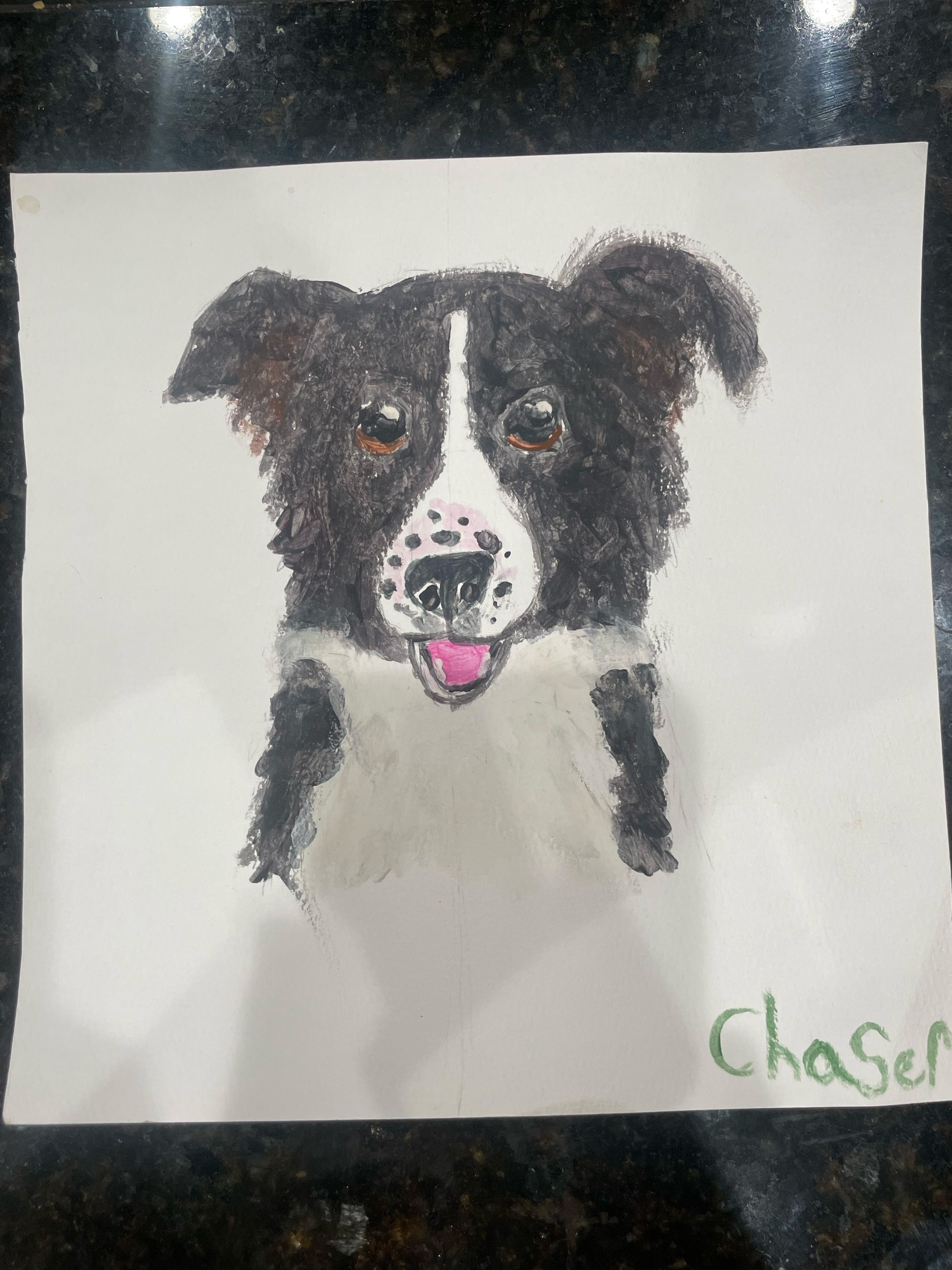 Dog Paws - Cockapoo -Drawing & Graphite Pencil Art | Small Online Class ...