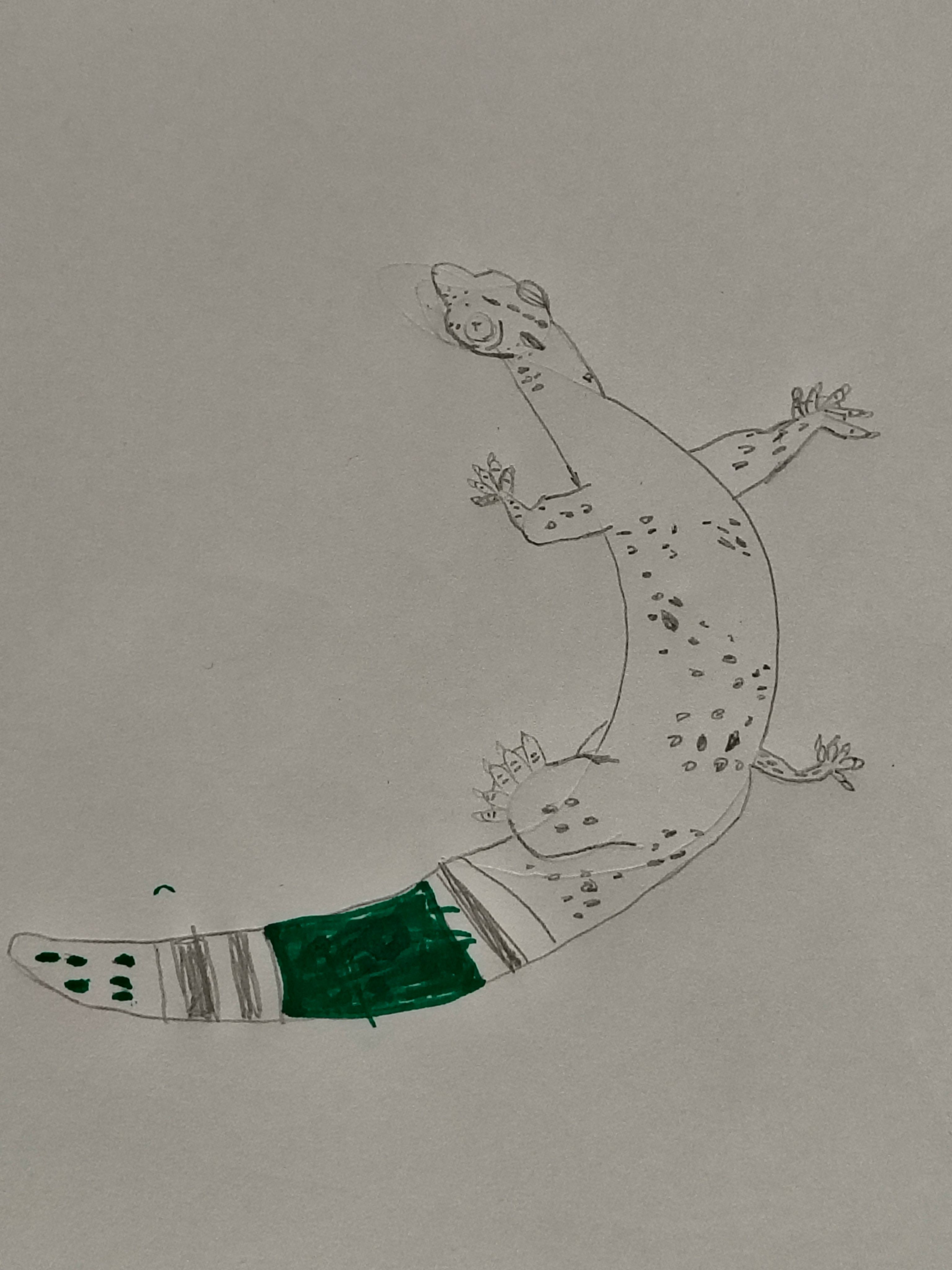 Drawing A Cartoon Leopard Gecko! Fun Step by Step Art Class for ...