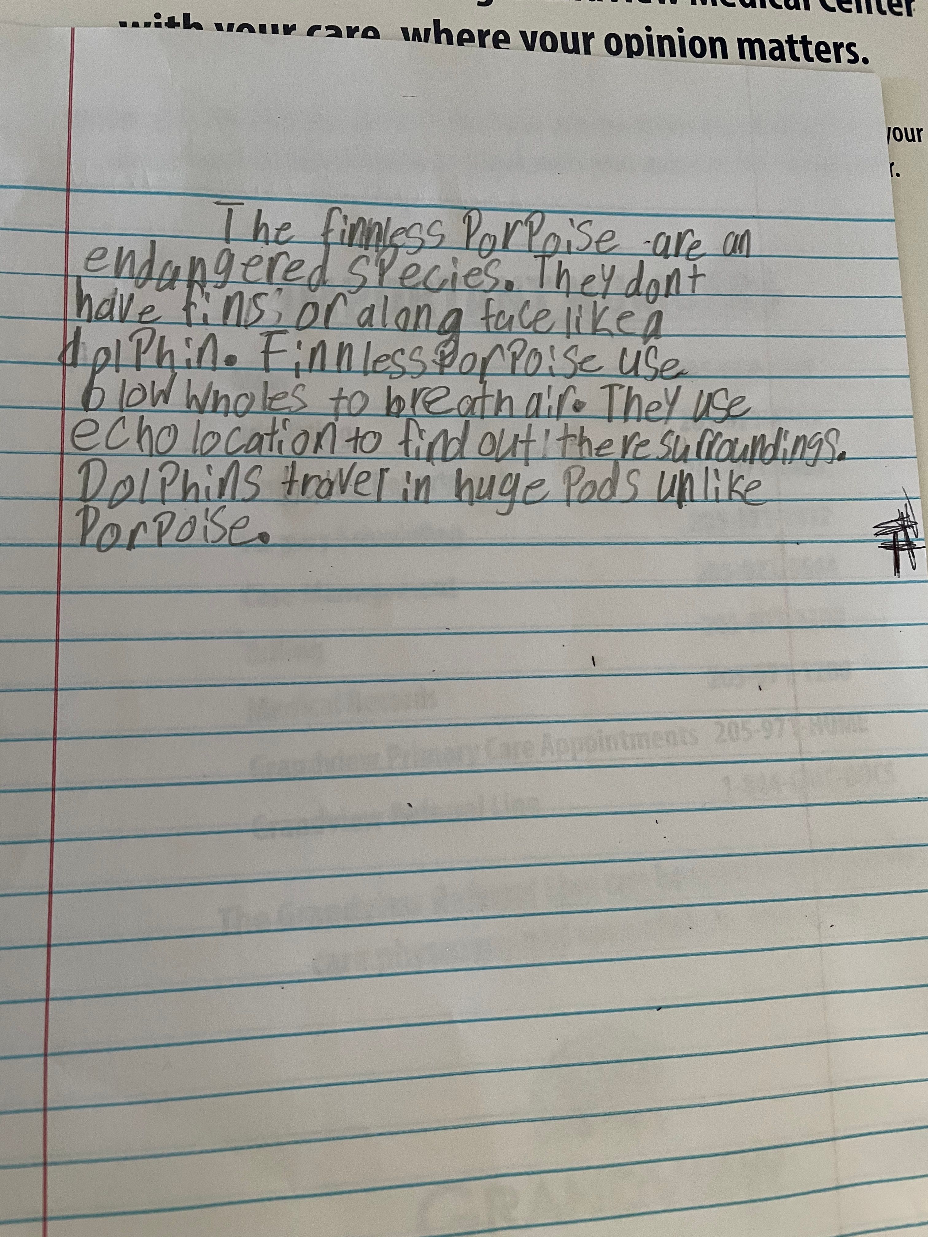 Endangered Animals & Paragraphs: Practice Note Taking & Paragraph ...