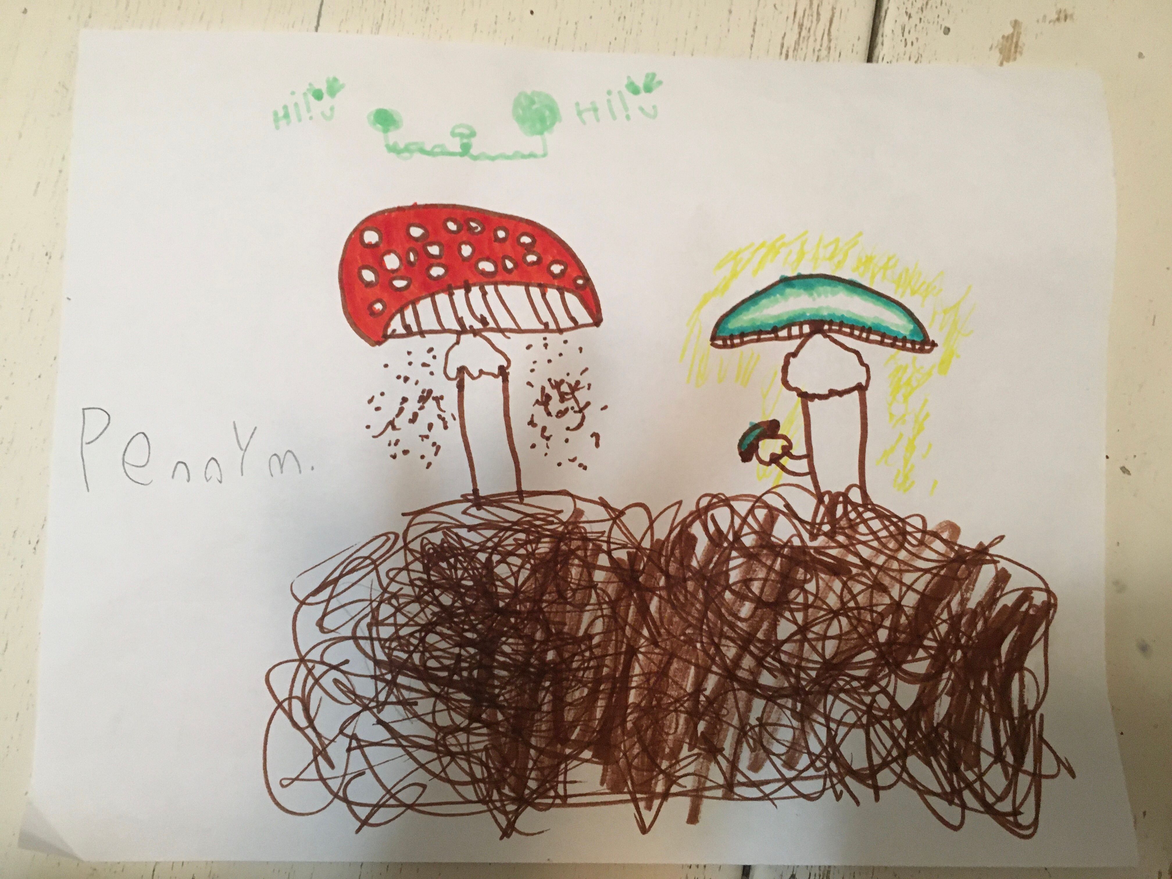 The Magical World of Fungi Part 1: The Life Cycle and Parts of a ...