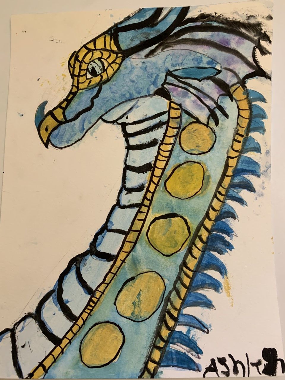 Draw Paint Create Dragon Inspired by Wings of Fire Rainwing Tamarin ...