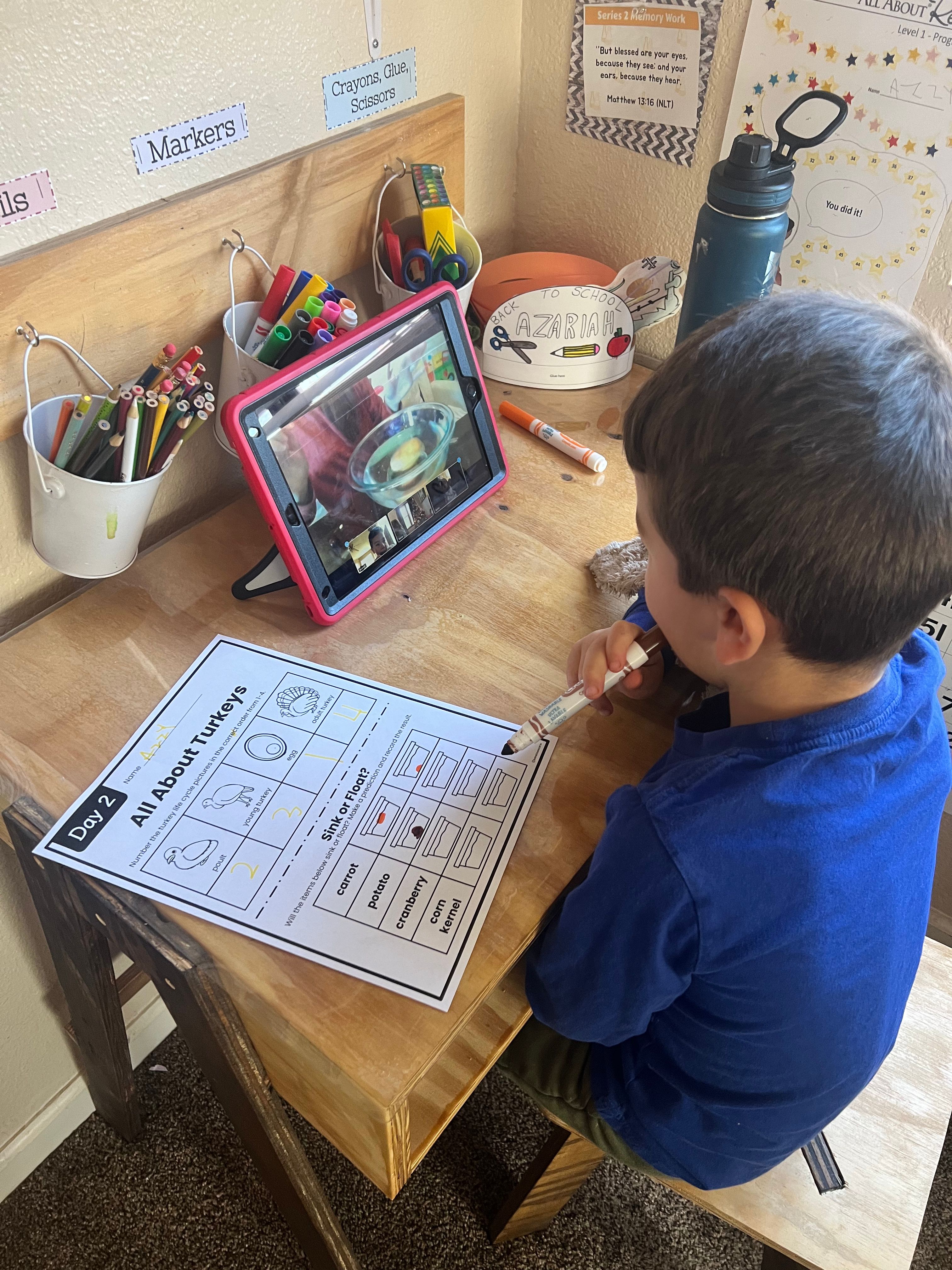 We Are Scientists! Kindergarten and 1st Grade Science | Small Online ...