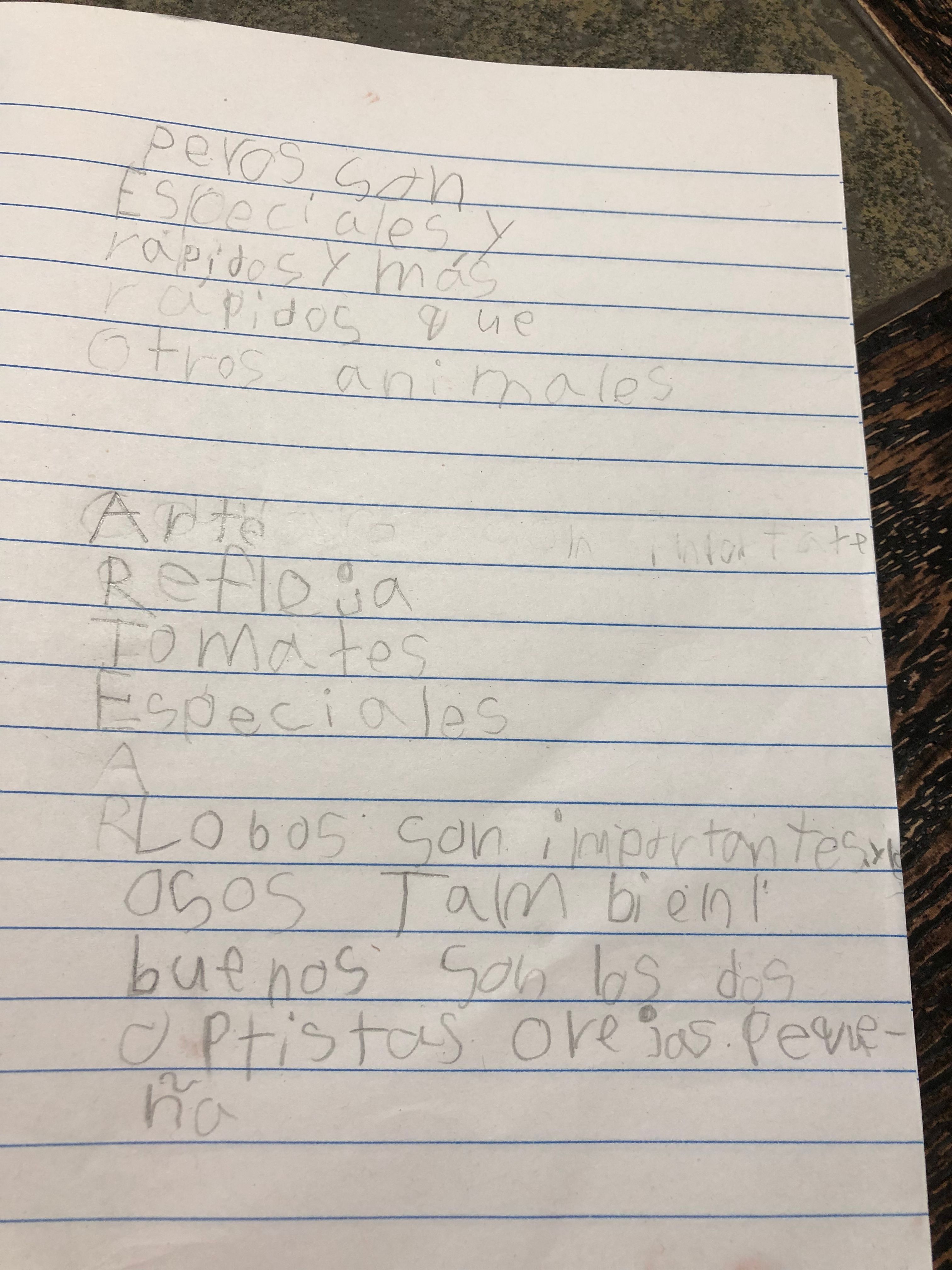 Spanish Poetry Creative Writing for Advanced Spanish Learners | Small ...