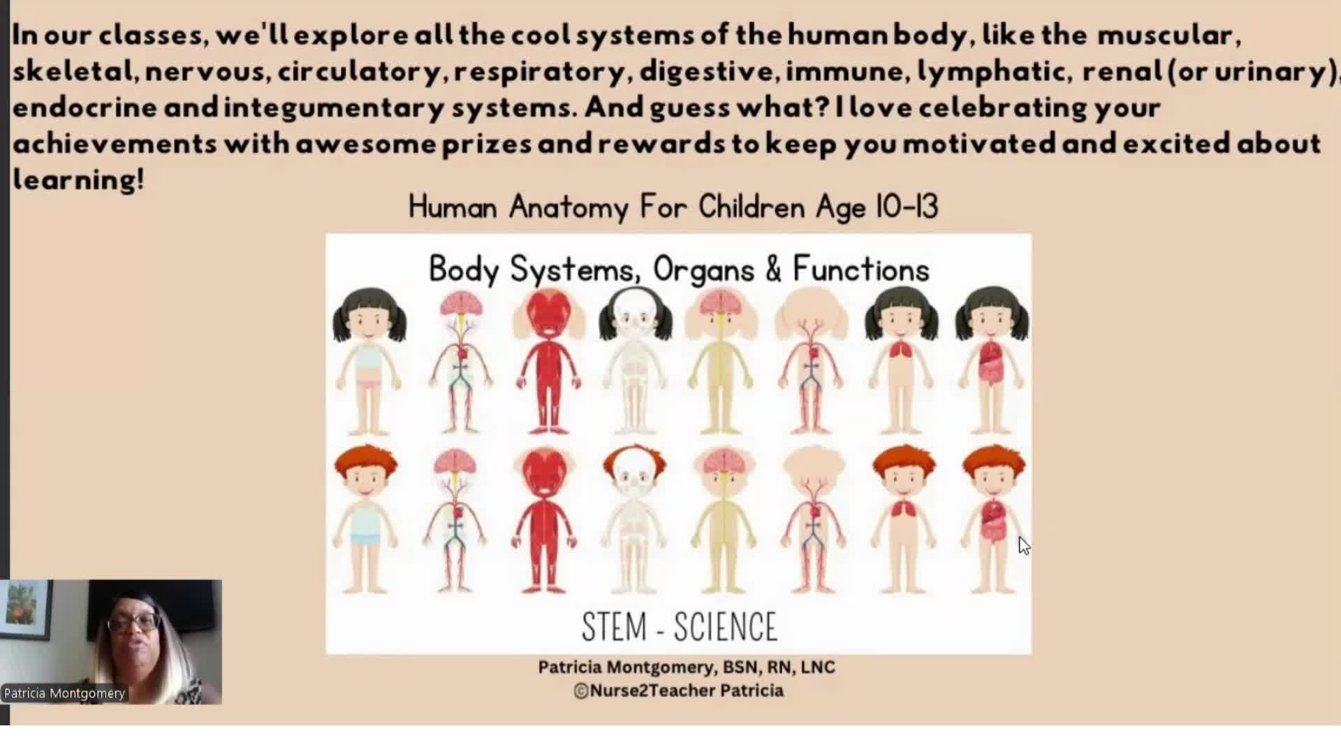 Human Anatomy & Pathophysiology- 12 Major Body Systems Tutoring (6 ...