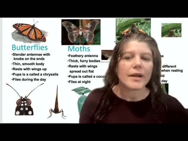 Science Journal Club : Explore and Discuss Current Research! | Small ...
