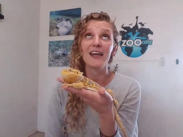 Future Zoologist Club | Learn About a New Group of Animals Each Week ...